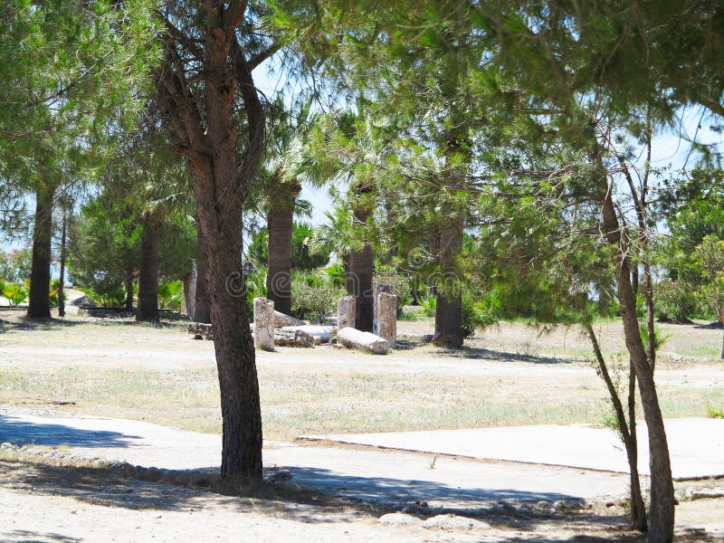Ruins of the Ancient Temple Columns Under Green Trees Stock Image ...