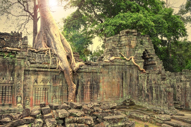 Ruins of Ancient Temple Lost in Jungle Stock Photo - Image of beautiful ...