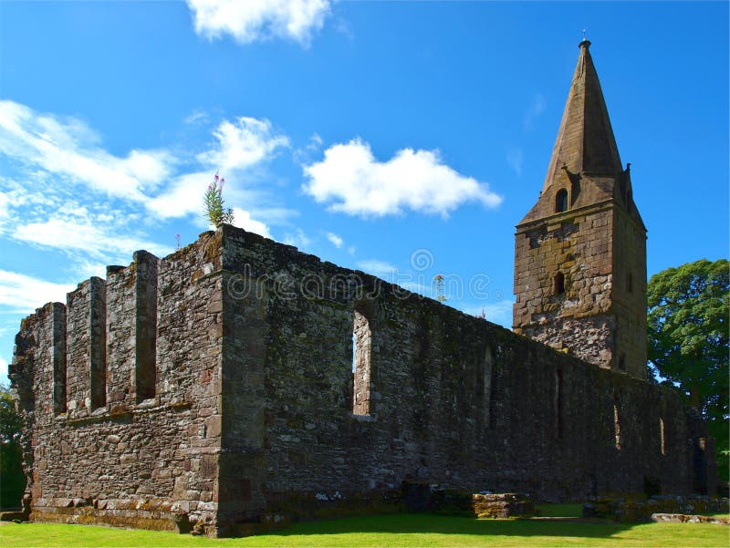 121 Forfar Stock Photos - Free & Royalty-Free Stock Photos from Dreamstime