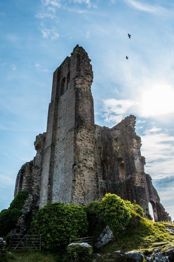 Ruins of Corfe Castle keep stock photo. Image of europe - 158211588