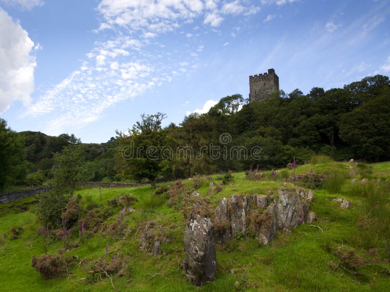 Ruins of Dolwyddelan Castle, North Wales Stock Photo - Image of ...
