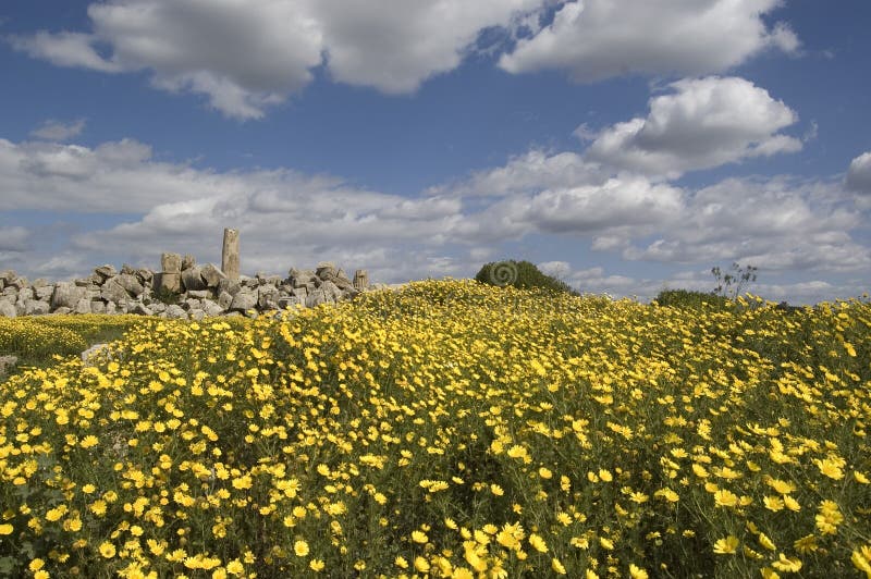 Ruins and field stock image. Image of temple, archaeology - 12902493