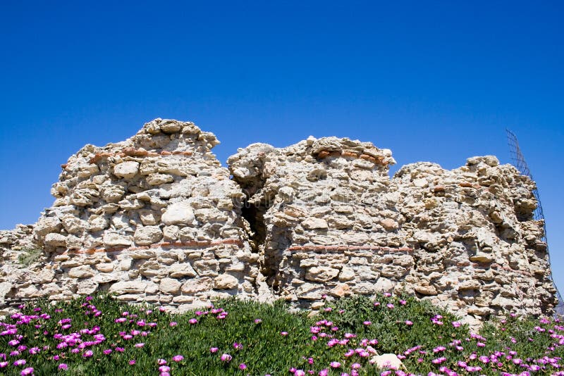 Ruins and Flowers stock photo. Image of falling, nature - 739754