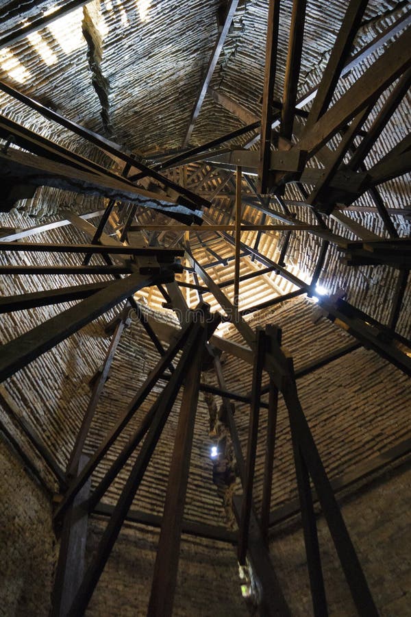 Ruins of Goal Kampong Tom Wat Temple with Root of Trees in Forest ...
