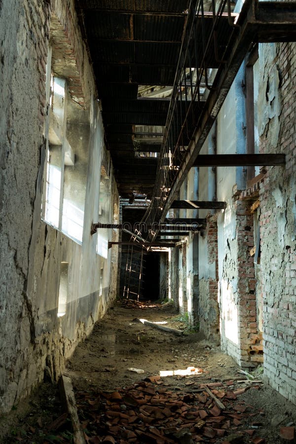 Inside ruins stock photo. Image of disaster, ruined, messy - 45248084