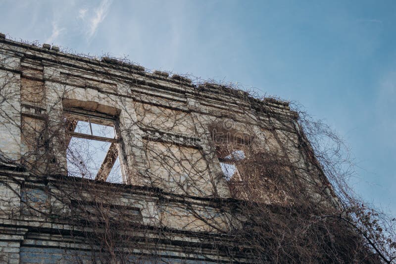 Ruins of an Old Building, Covered with Vines and Broken Windows Against ...
