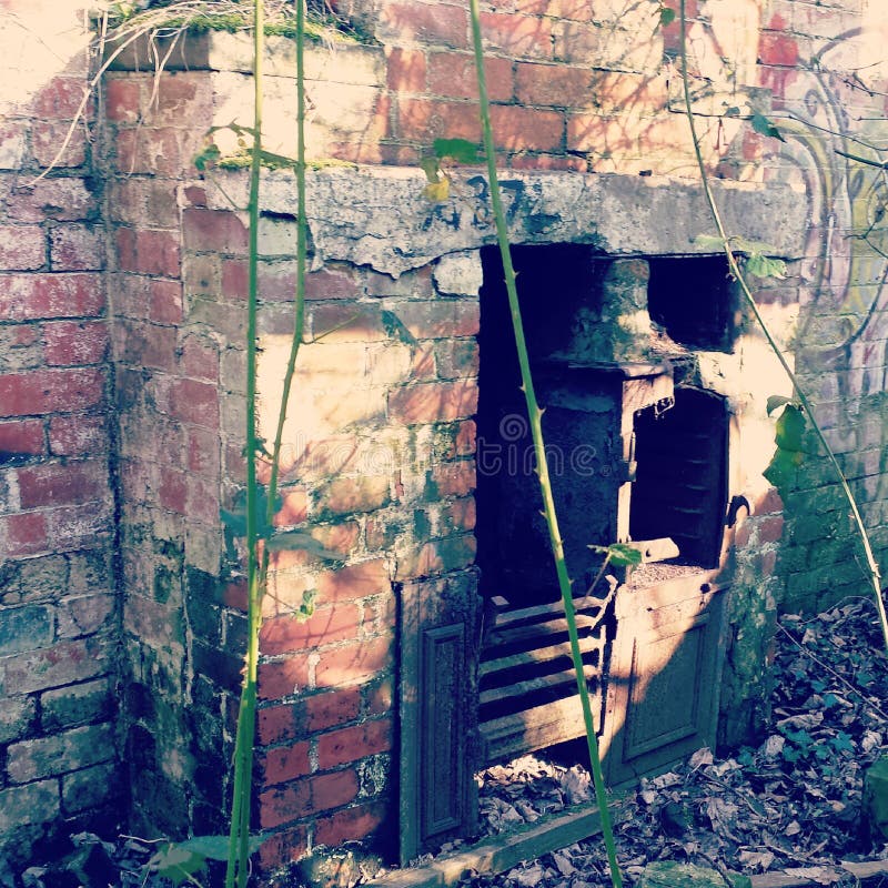 Ruins stock photo. Image of fireplace, ruins, ruin, nature - 42812364