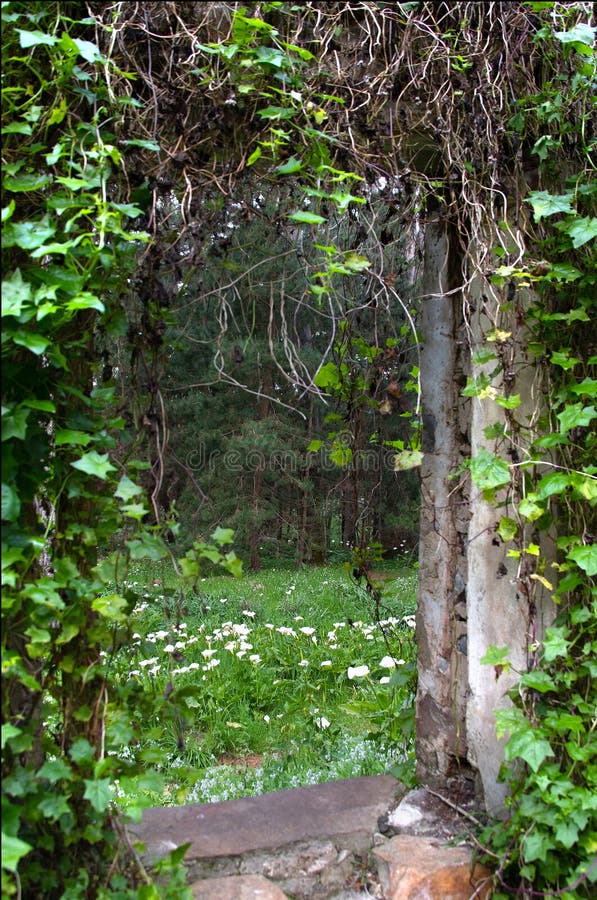 Ruins of an Old House in a Forest, Overgrown with Grass, Empty Window ...