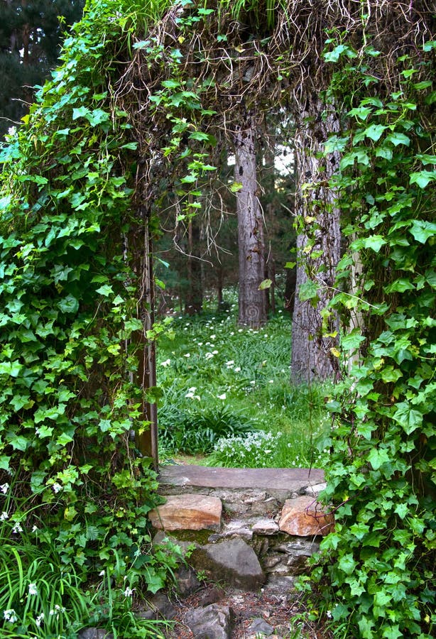 Ruins of an Old House in a Forest, Overgrown with Grass, Empty Window ...