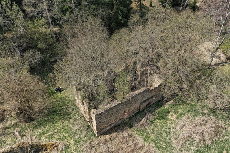 Ruins of Old Mill Buiilding with Trees Growing from Inside Stock Image ...