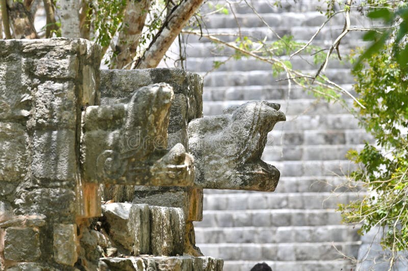 The Ruins of One of the Largest Ancient Maya City Stock Image - Image ...