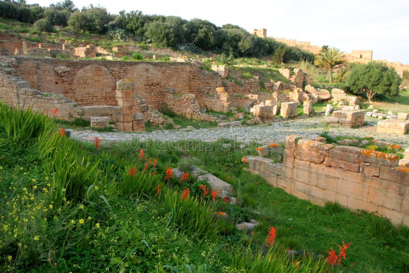 Ruins of Roman City in Rabat Stock Image - Image of morocco, classical ...