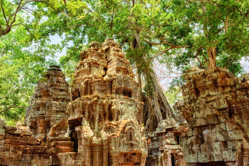 Ta Prohm, a Mysterious Temple of the Khmer Civilization, Located on the ...