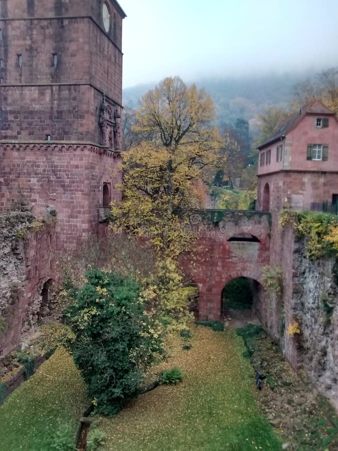 Ruins of a german castle stock photo. Image of architecture - 156211088