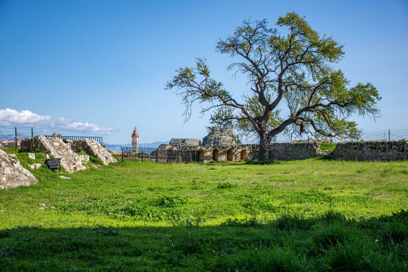 Ruins and tree in a field stock photo. Image of blue - 351653980