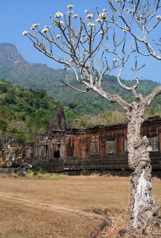 Ruins of the Wat Phu Temple Laos Stock Photo - Image of architecture ...