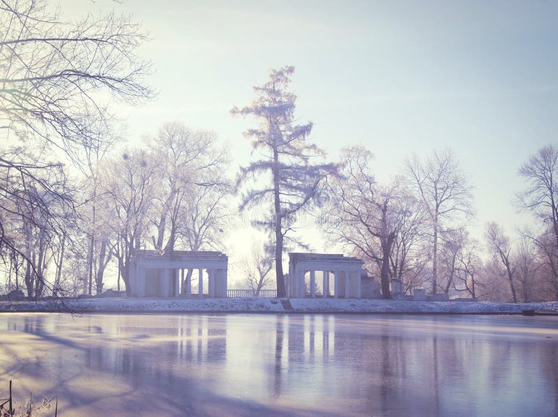 Ruins with White Columns and a Tall Tree in Winter Stock Photo - Image ...