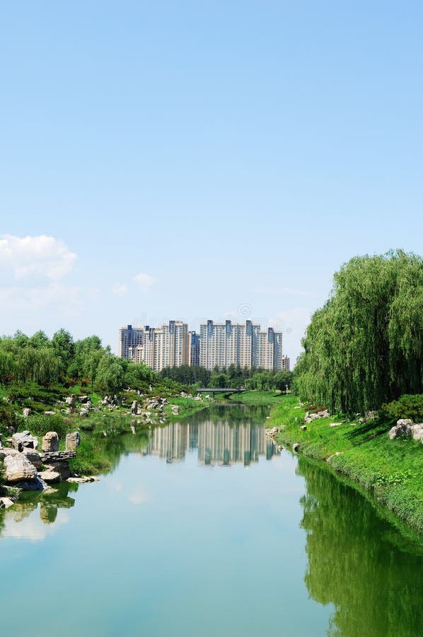 Ruisselet avec l'arbre photo stock. Image du brooklet - 7215508