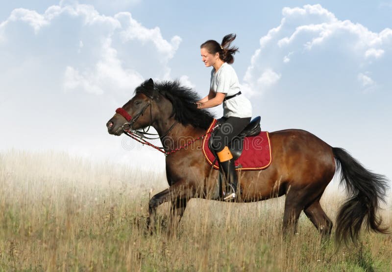 Ruiter en paard stock afbeelding. Image of reis, nave - 2230899