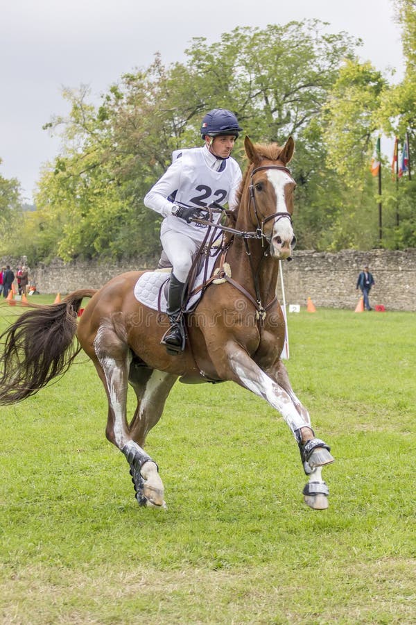 Ruiter en paard redactionele fotografie. Image of uitrusting - 65105882