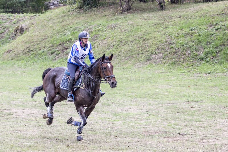 Ruiter en paard redactionele afbeelding. Image of hagen - 65106075