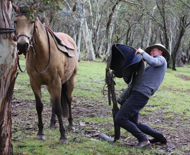 Ruiter en Paard stock foto. Image of australië, hobby - 8340258