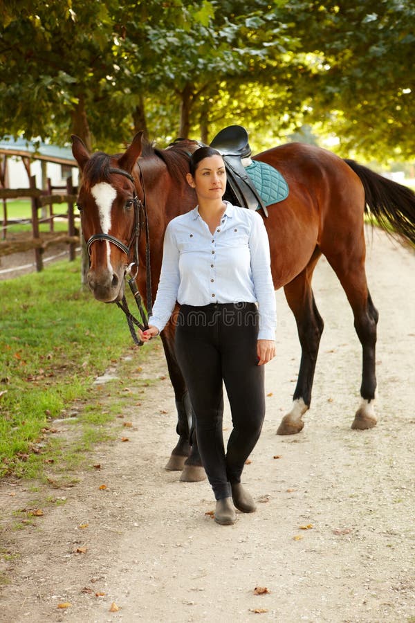 Ruiter En Paard in Openlucht Stock Afbeelding - Image of activiteit ...