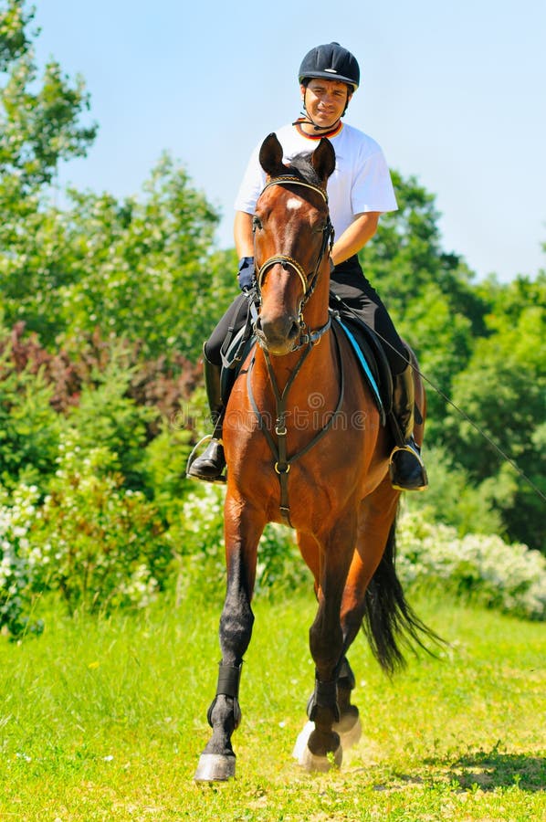 Ruiter Op Een Sportief Paard Stock Afbeelding - Image of agent, sprong ...