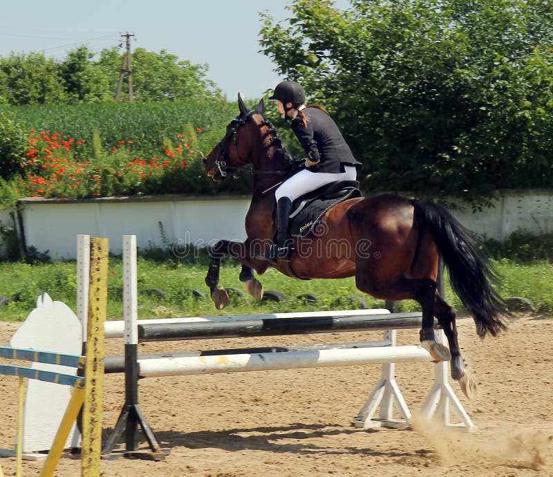 Ruiter op een paard redactionele fotografie. Image of rijden - 41476622
