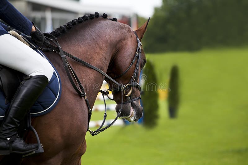 Ruiter op paard stock afbeelding. Image of concurrentie - 26645357