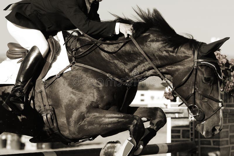 Ruiter Paard En Ruiter in Actie Stock Foto - Image of concurrentie ...