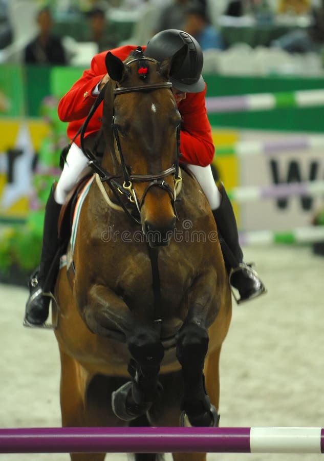 Ruiter ruiter I stock afbeelding. Image of sprong, sporten - 723521