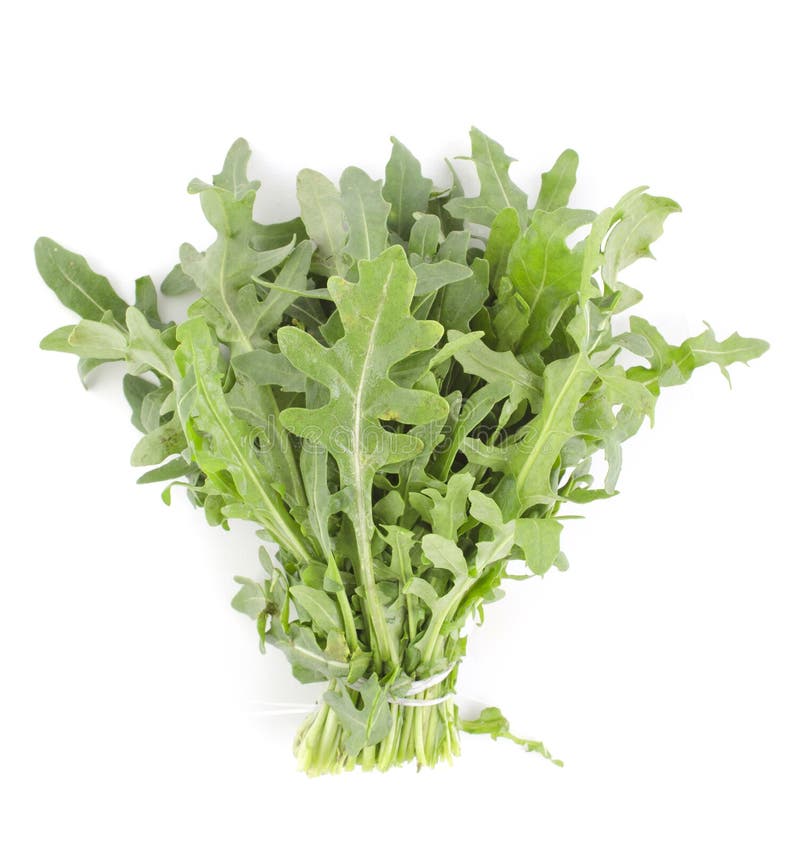 Rucola stock photo. Image of organic, plant, snack, eating - 13568998
