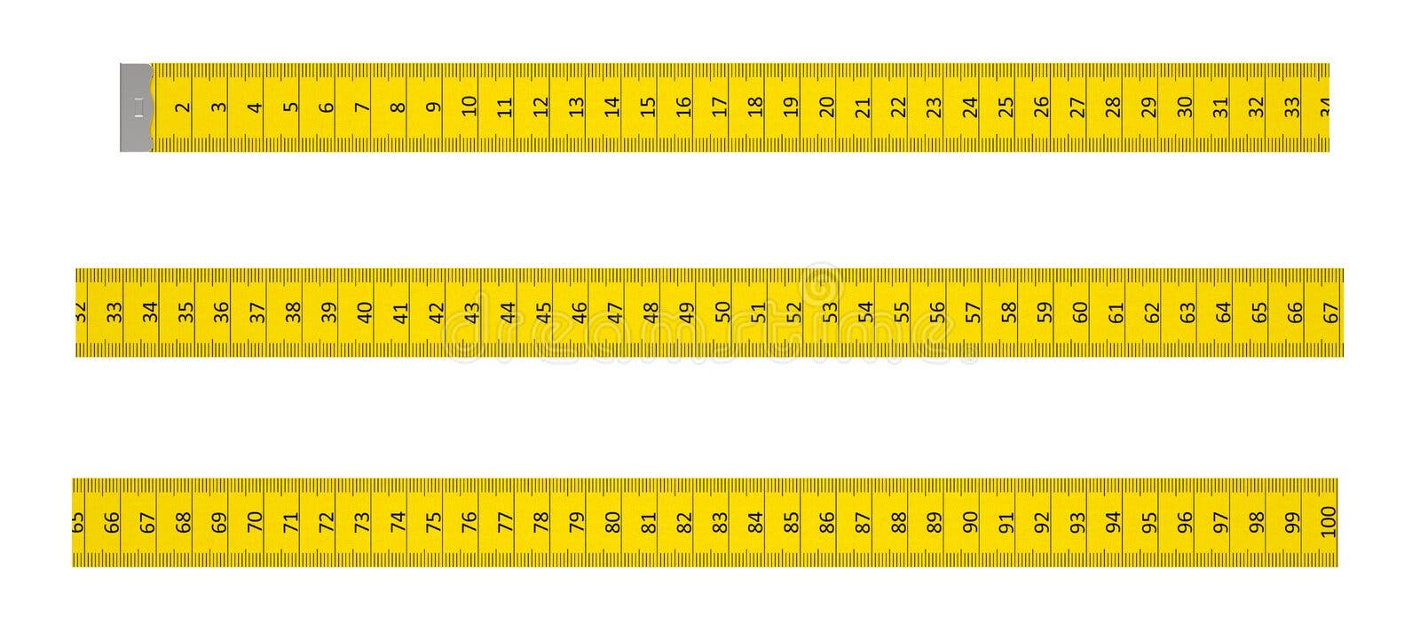 Ruler stock vector. Illustration of pink, metric, isolated - 19871686