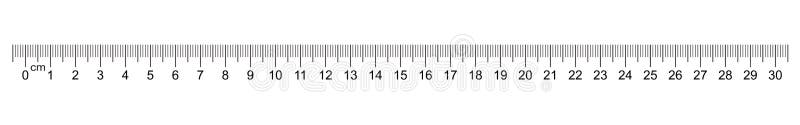 Ruler 30 Centimeter. Value of Division 1 Mm. Precise Length Measurement ...