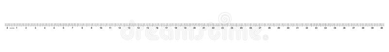 Grid Ruler Inches Stock Illustrations – 232 Grid Ruler Inches Stock ...