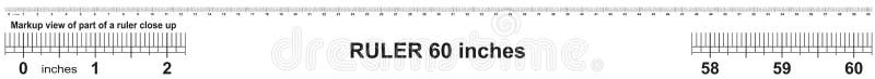 Ruler 60 Inch. Precise Measuring Tool. Inches Size Indicators Stock ...