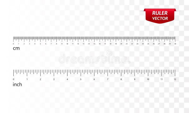 Rulers Set, Inches and Centimeters. Vector Stock Vector - Illustration ...