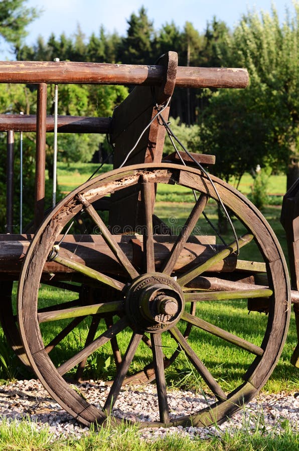 Rulla arkivfoto. Bild av gräs, detalj, skadlig, runt - 42259554