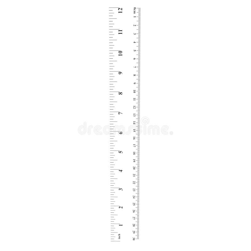 Ruller Isolated on White Background Stock Illustration - Illustration ...