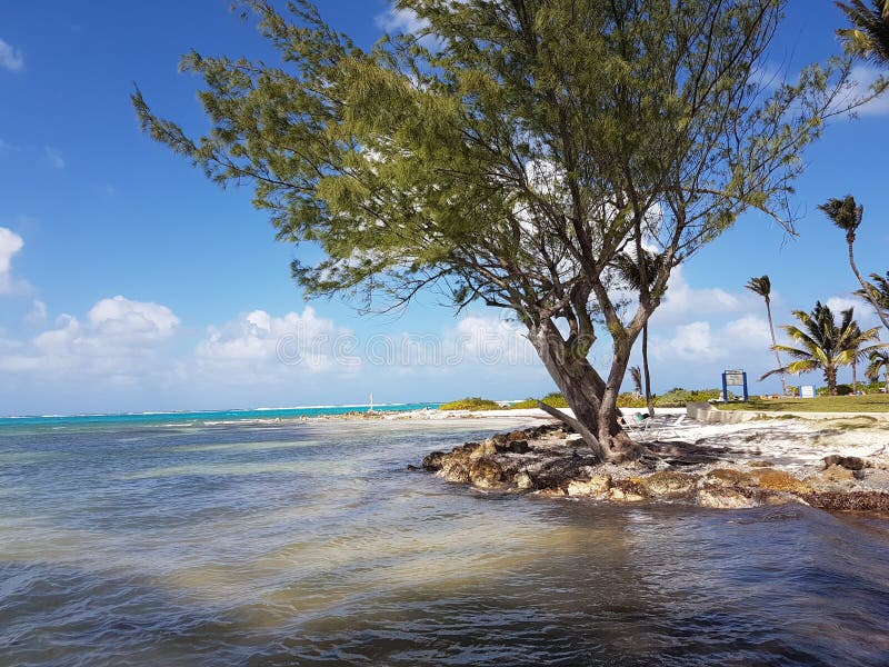 Rum Point Beach Cayman Islands Stock Image - Image of wave, sand: 226891553