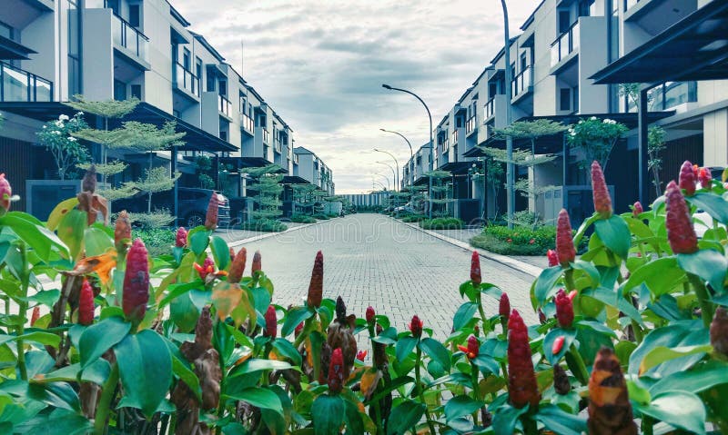 Good View of Residential stock image. Image of view - 208681363