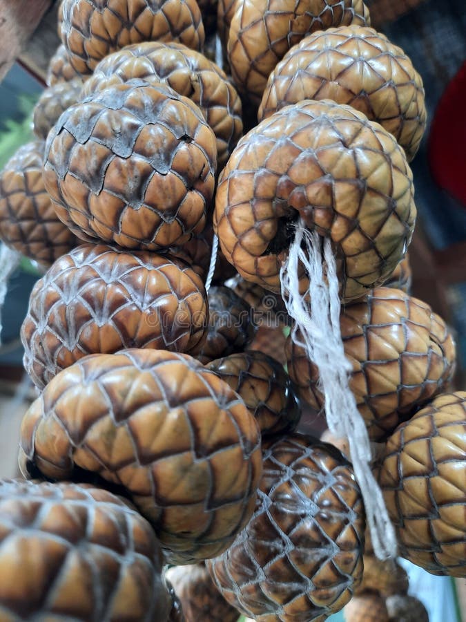 Rumbia Fruit Stock Photos - Free & Royalty-Free Stock Photos from ...