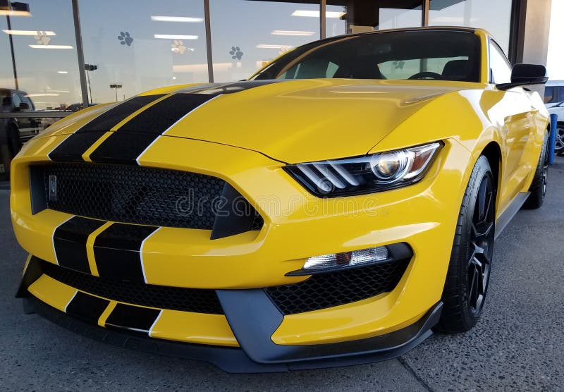 Rumblebee Stock Photos - Free & Royalty-Free Stock Photos from Dreamstime