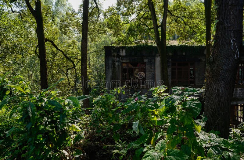 Run-down Brick Building of 1960s in Plants and Trees Stock Image ...
