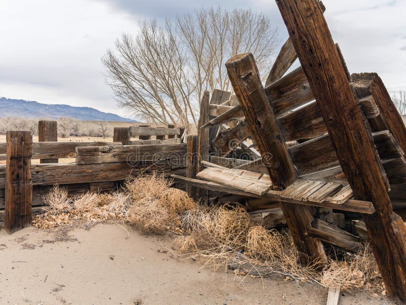 Run down cattle loader stock image. Image of bush, field - 38824445