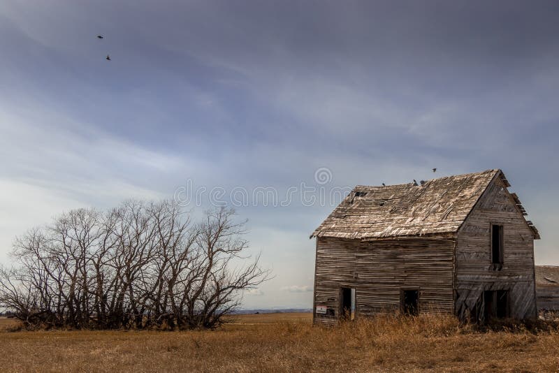 Run Down Farm Buildings Indus Alberta Canada Stock Image - Image of ...