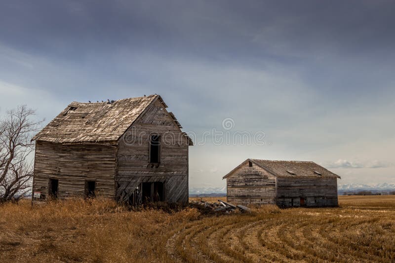 Run Down Farm Buildings Indus Alberta Canada Stock Photo - Image of ...