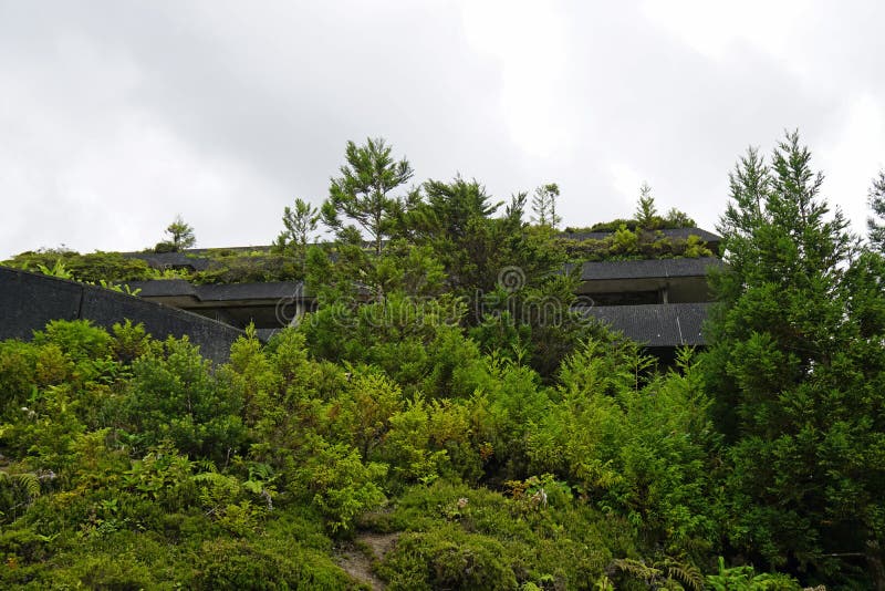 Run Down Hotel Ruine on Azores Islands Stock Photo - Image of densely ...