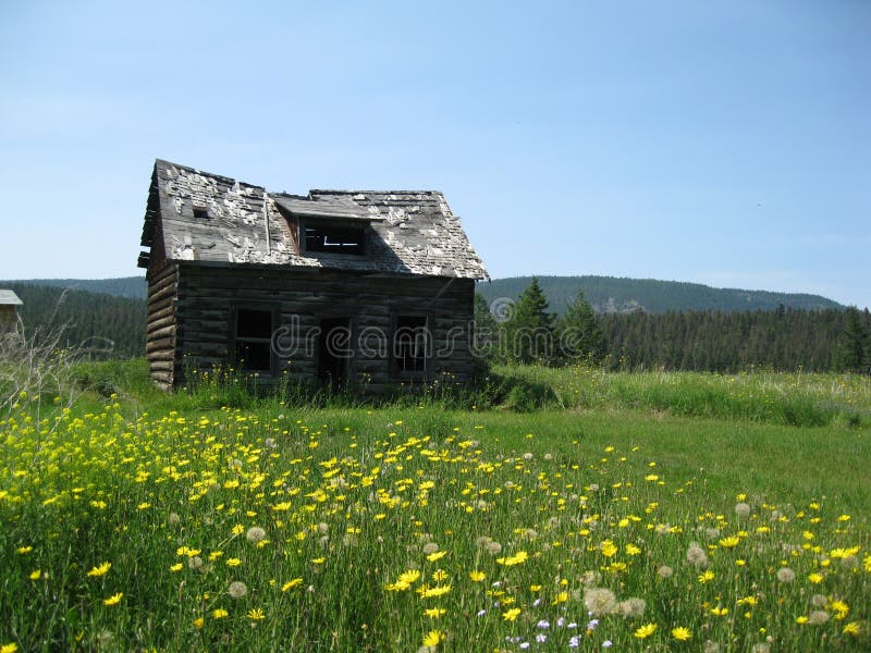 Run down old log cabin stock photo. Image of plants, settlement - 50347966